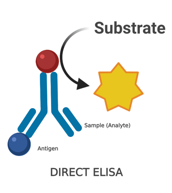 ELISA Kits - AVIDA Bioscience