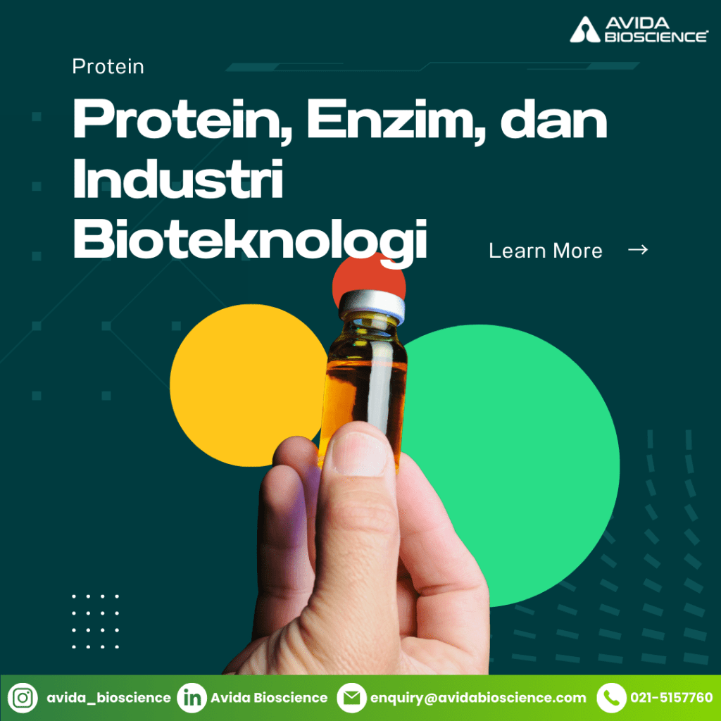 Protein, Enzim, dan Industri Bioteknologi - AVIDA Bioscience