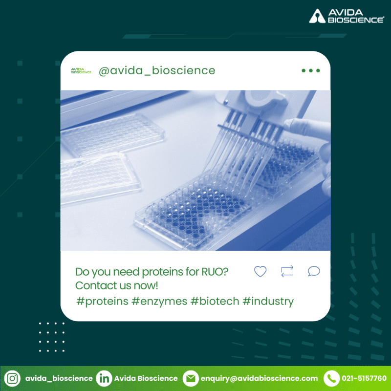 Struktur Protein dan Aplikasinya di Bioteknologi - AVIDA Bioscience