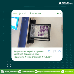 Mengenal ELISA: Prinsip, Jenis, dan Aplikasinya - AVIDA Bioscience