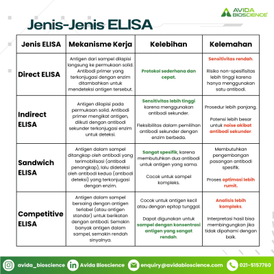 Mengenal ELISA: Prinsip, Jenis, dan Aplikasinya - AVIDA Bioscience
