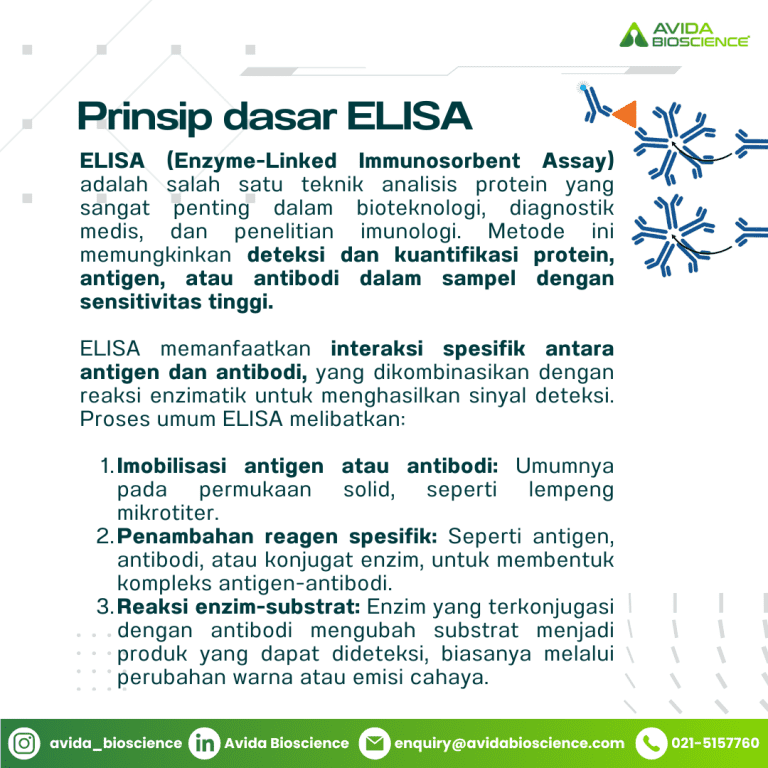 Mengenal ELISA: Prinsip, Jenis, dan Aplikasinya - AVIDA Bioscience