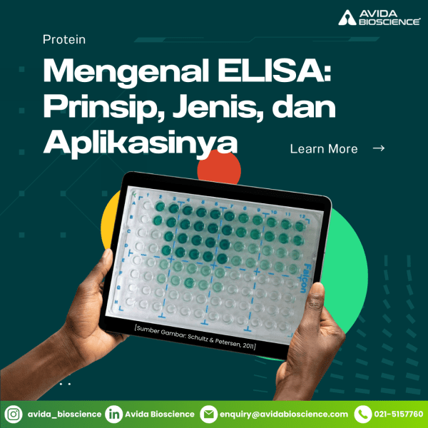 Mengenal ELISA: Prinsip, Jenis, dan Aplikasinya - AVIDA Bioscience