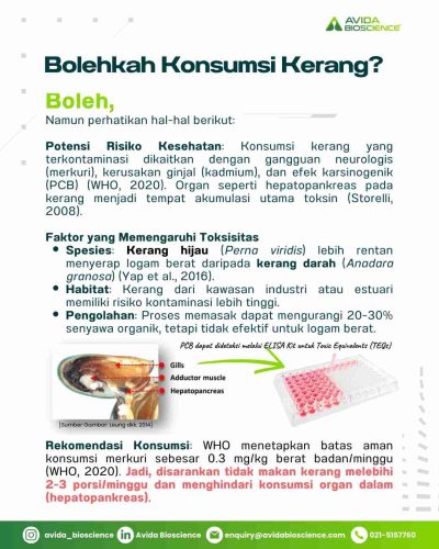 Biomagnifikasi? Apa Masih Boleh Makan Kerang? - AVIDA Bioscience
