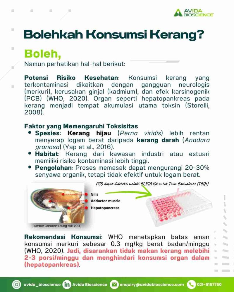 Biomagnifikasi? Apa Masih Boleh Makan Kerang? - AVIDA Bioscience