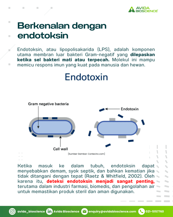 Apa itu Endotoksin dan Mengapa Itu Perlu Dideteksi? - AVIDA Bioscience