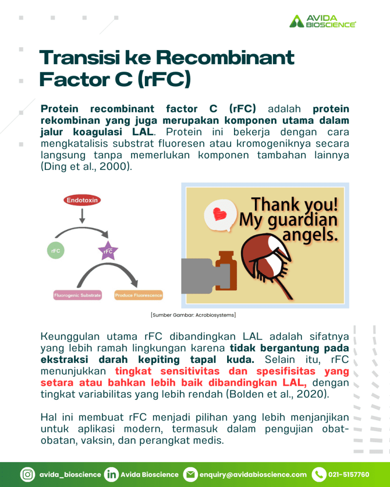 Apa itu Endotoksin dan Mengapa Itu Perlu Dideteksi? - AVIDA Bioscience