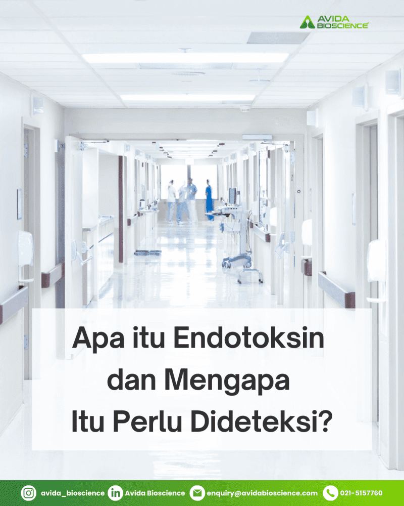 Apa itu Endotoksin dan Mengapa Itu Perlu Dideteksi? - AVIDA Bioscience